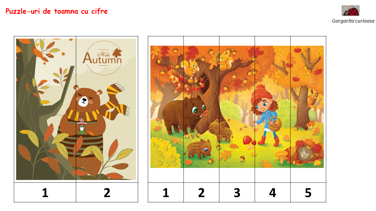 Animale in padure – puzzle de toamna – Gargarita curioasa