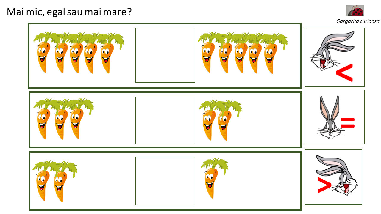Mai mare, mai mic sau egal? – Gargarita curioasa